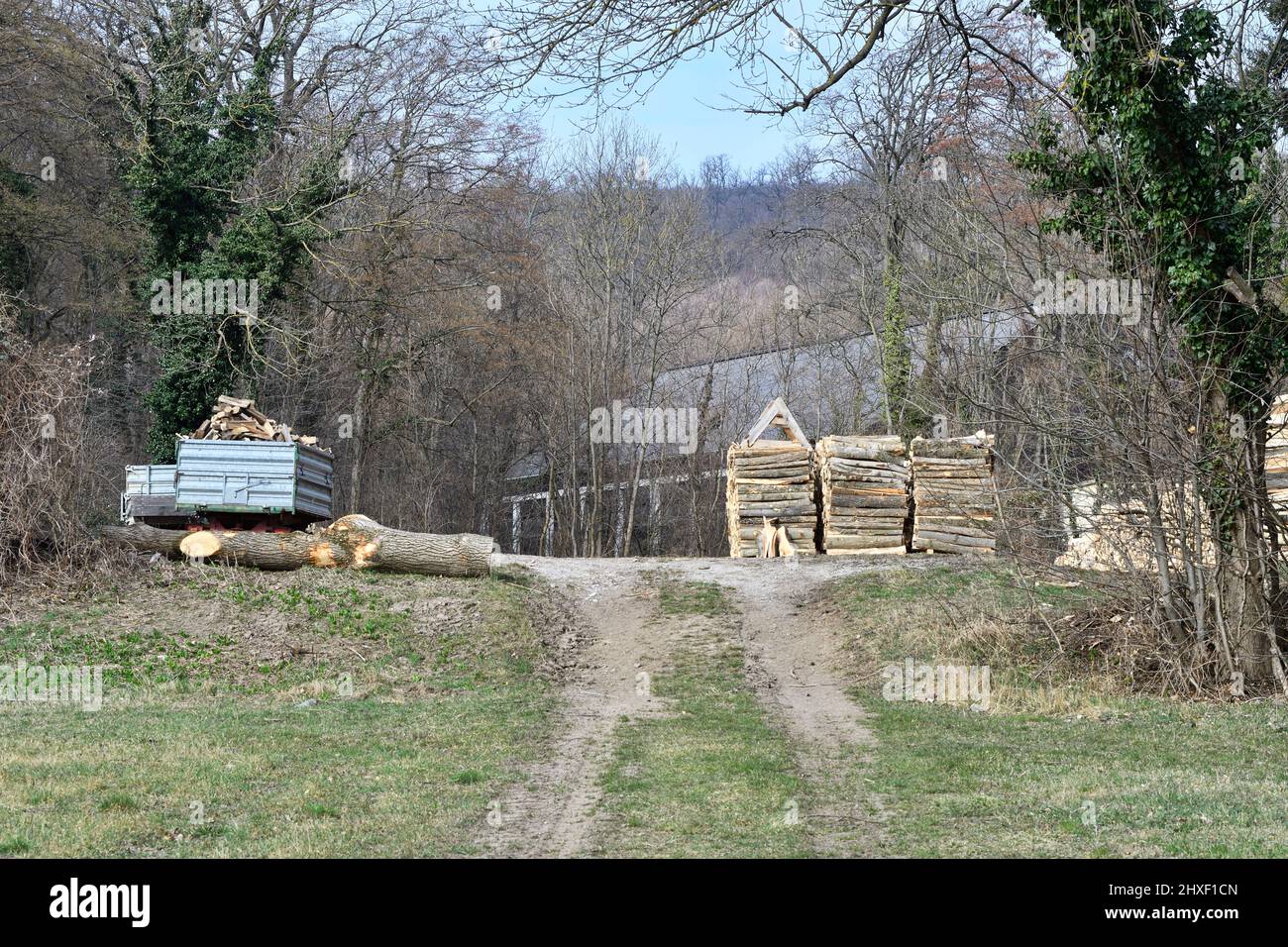 Vienna, Austria. 06 March 2022. The Lainzer Tiergarten in Vienna Stock ...