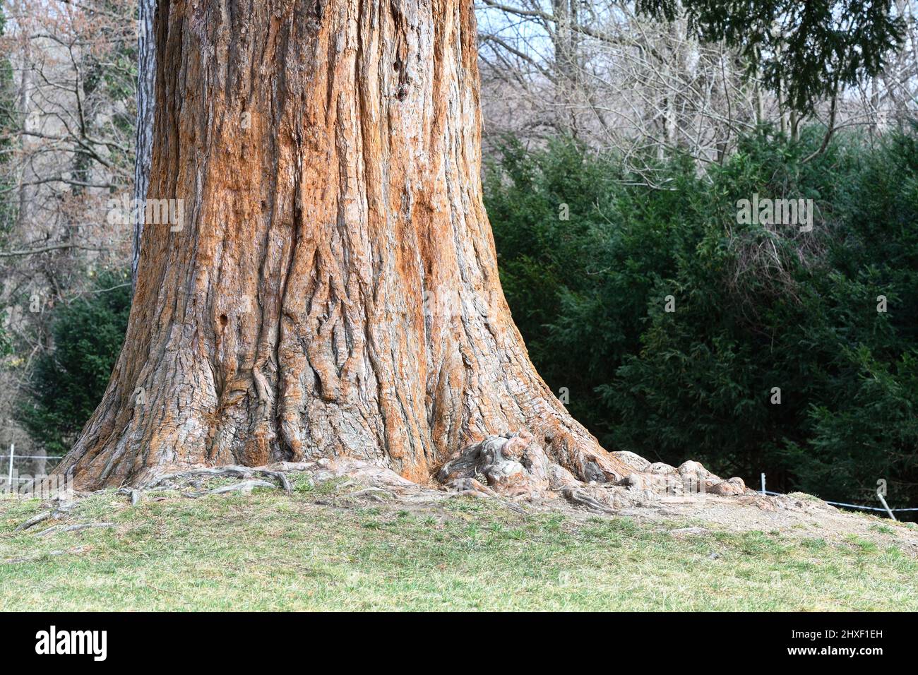 Vienna, Austria. 06 March 2022. The Lainzer Tiergarten in Vienna Stock ...