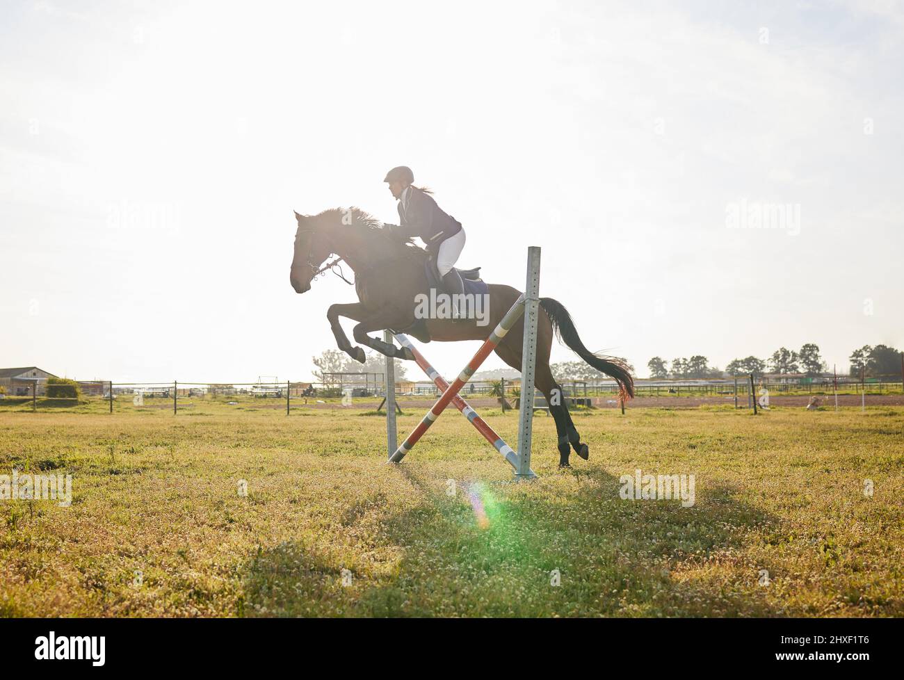 Hurdle hop hi-res stock photography and images - Alamy