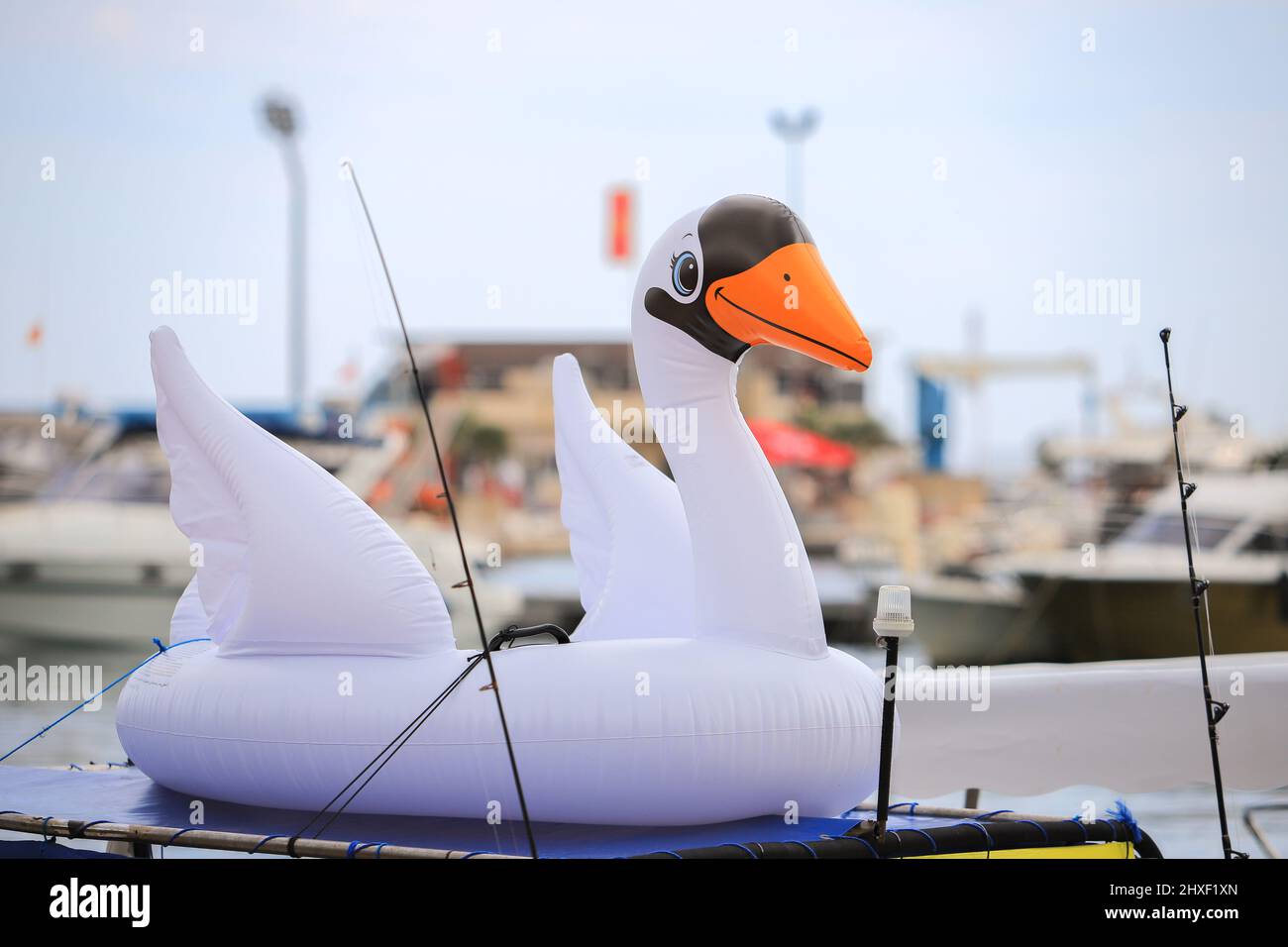 Inflatable circle white swan on the boat close-up Stock Photo - Alamy