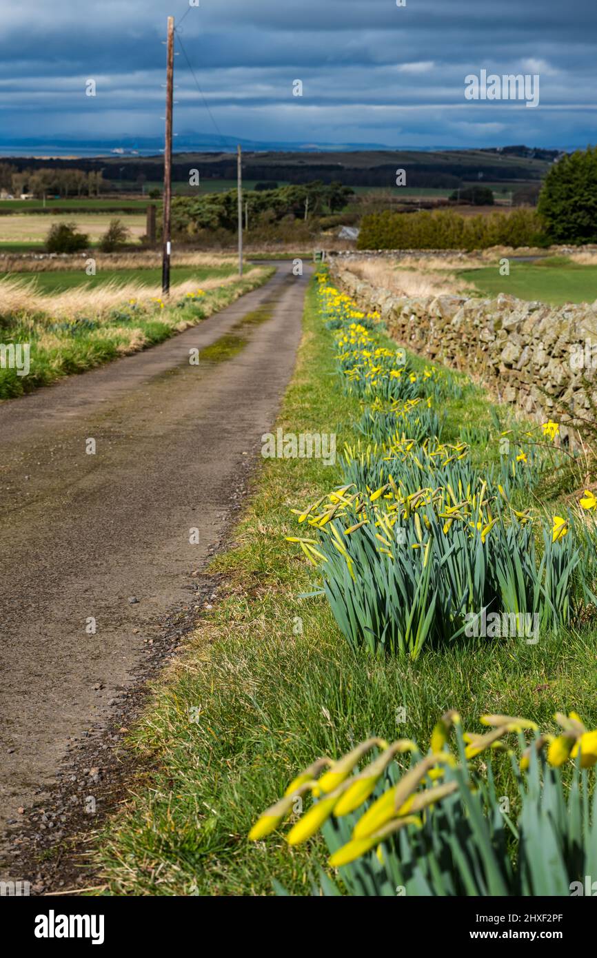 East Lothian, Scotland, United Kingdom, 12th March 2022. UK Weather ...