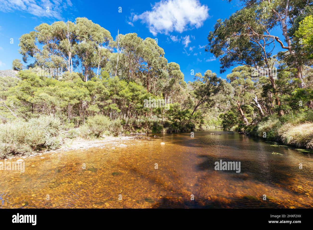 Lerderderg Gorge Circuit Walk in Melbourne Australia Stock Photo - Alamy