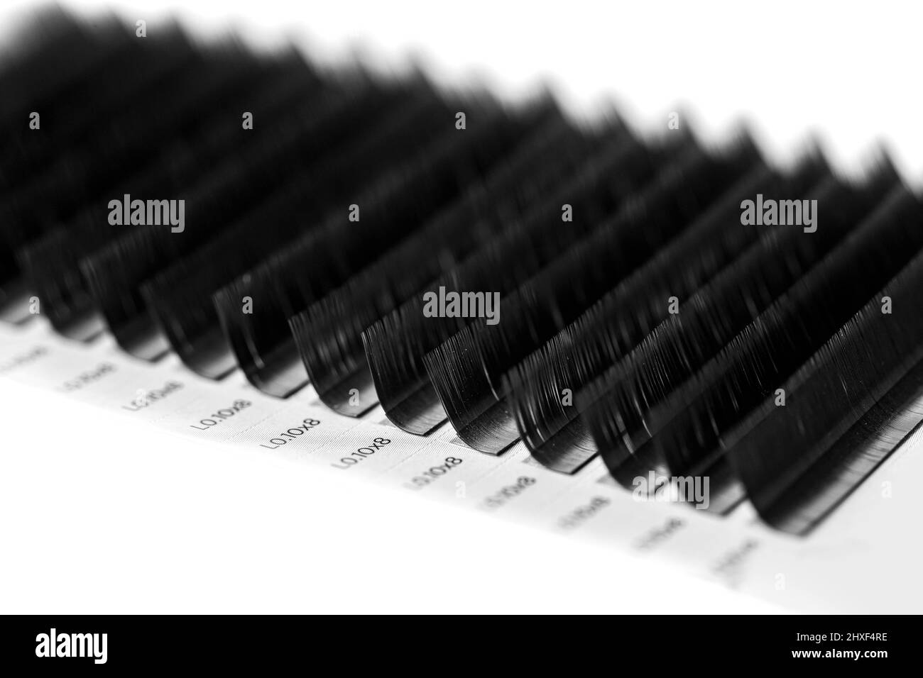 Set black lashes white isolated background, eyelash extension concept ...