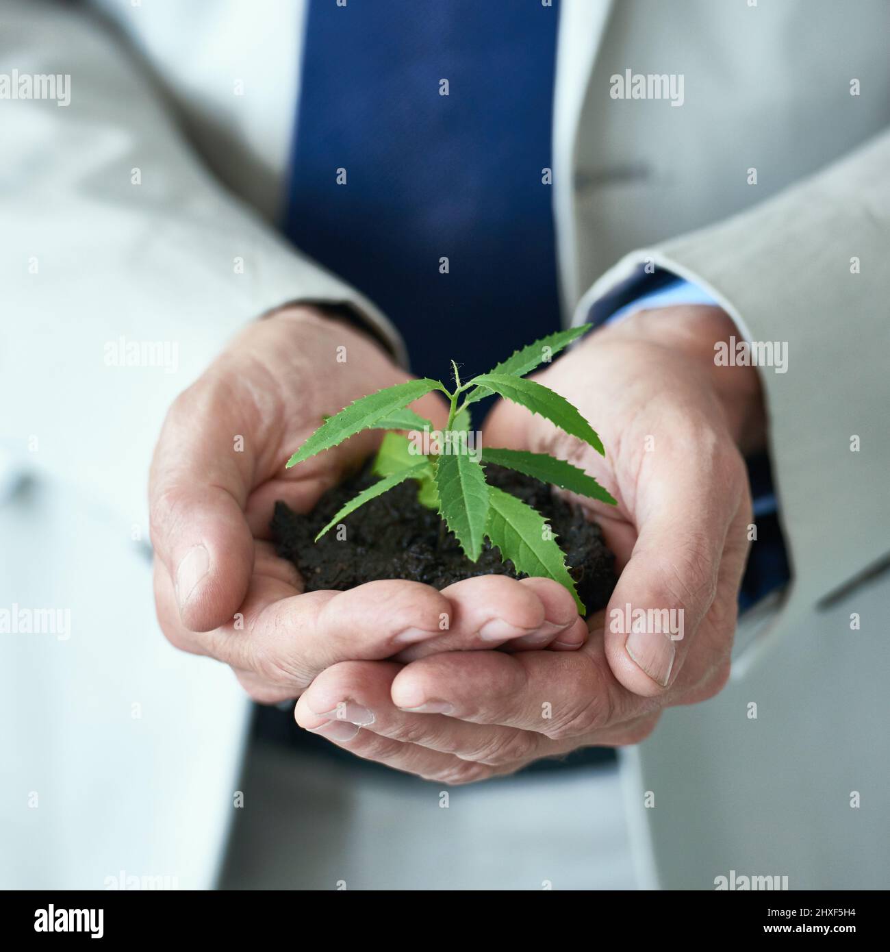 Big things sometimes have the smallest beginnings. Cropped shot of a ...
