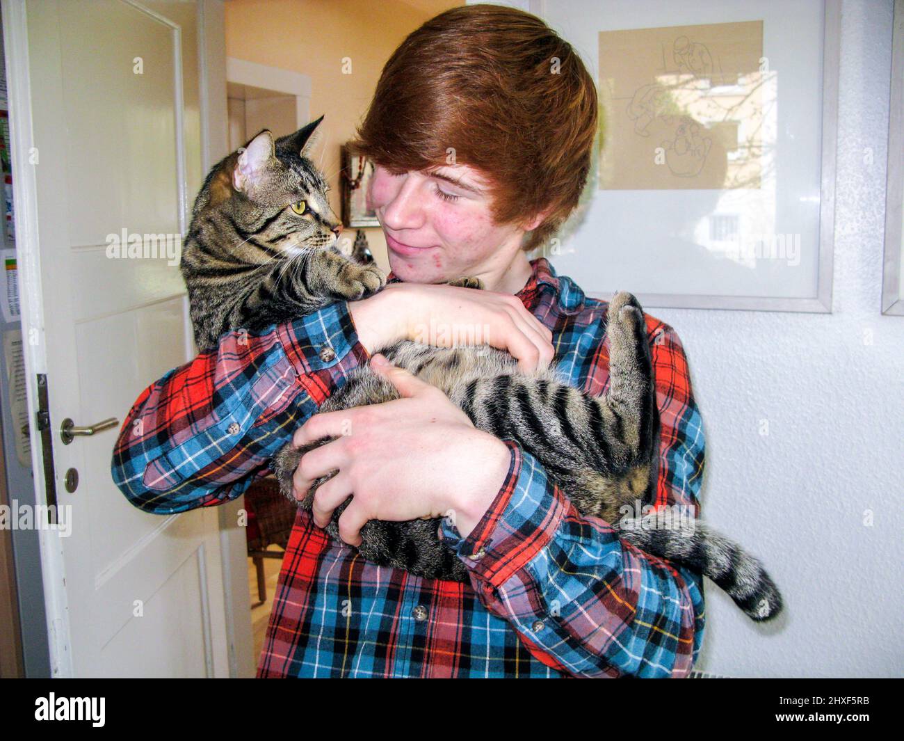 Boy hugging cat hi-res stock photography and images - Alamy