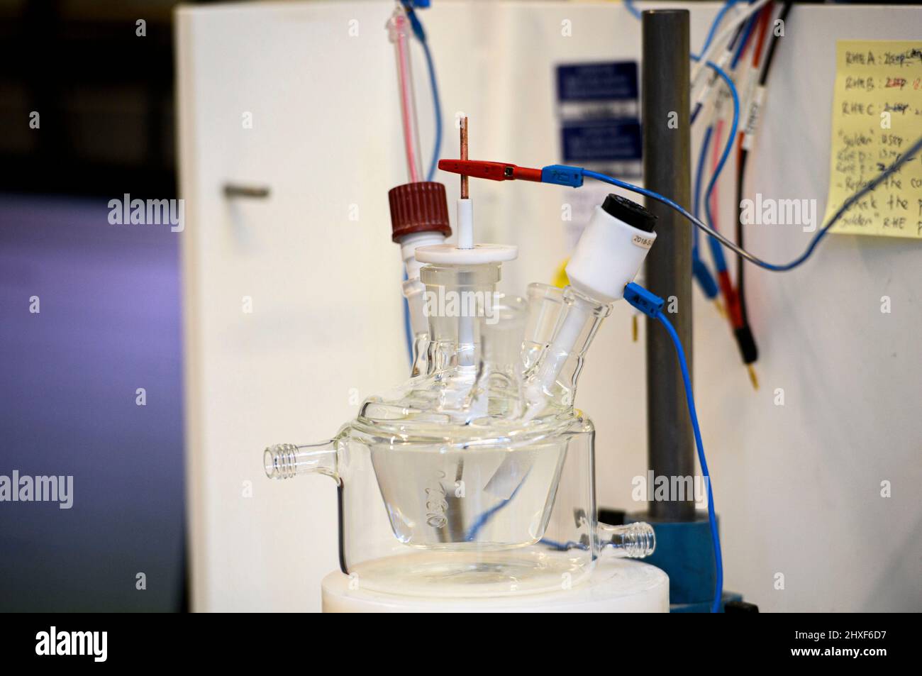 Feature, laboratory at the Max Planck Institute. Visit to the Max ...