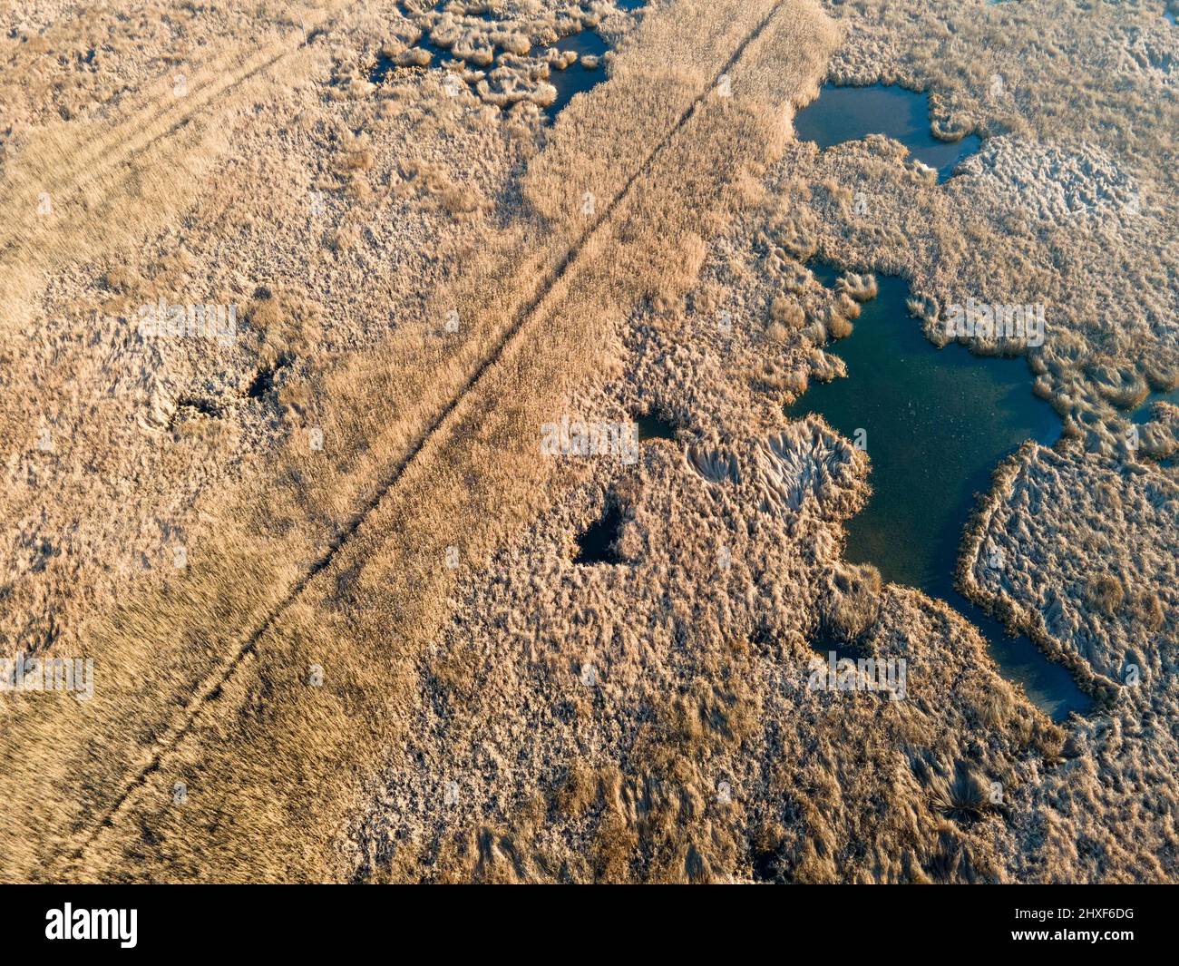 Aerial Autumn view of Dragoman marsh, Sofia region, Bulgaria Stock ...