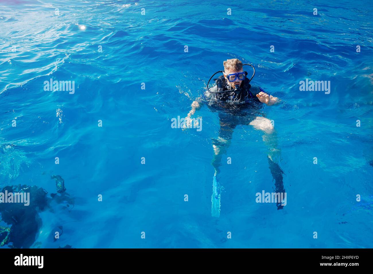 Dive and safety and florida hi-res stock photography and images - Alamy