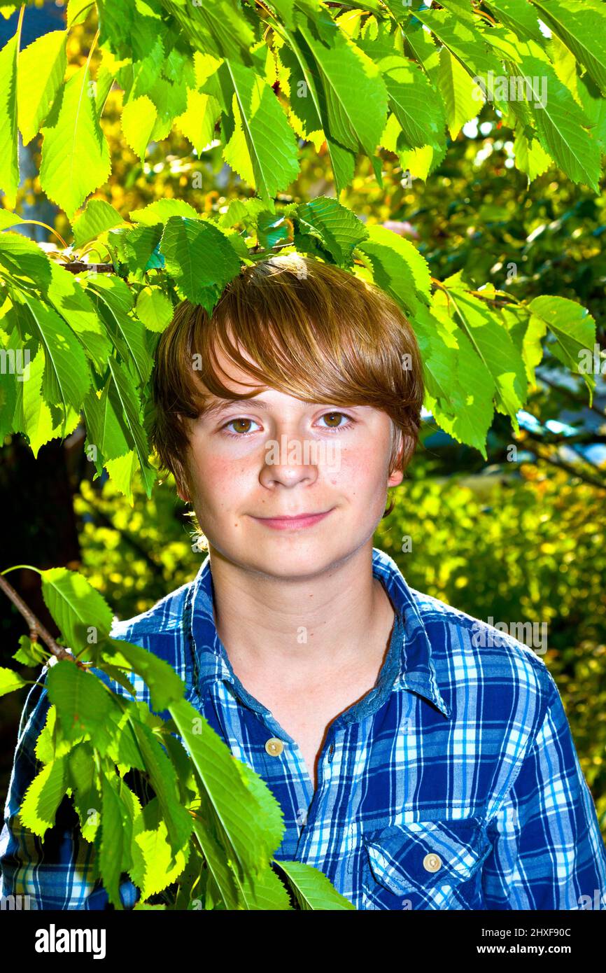 portrait of cute boy in leaves of the tree Stock Photo - Alamy