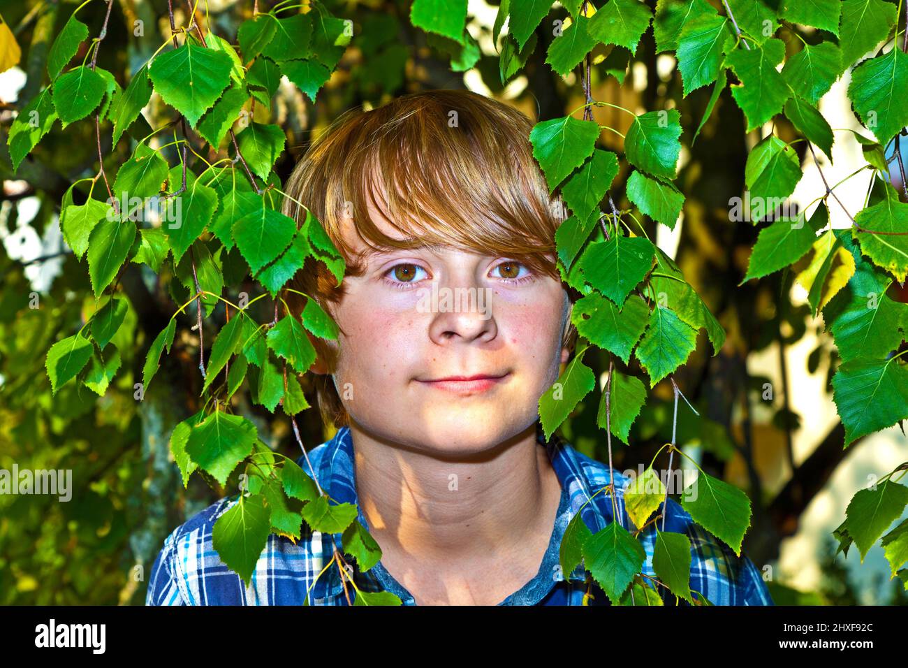portrait of cute boy in leaves of the tree Stock Photo - Alamy