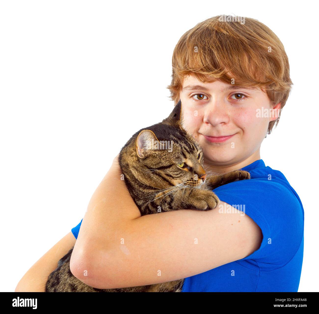 boy hugging with his cat Stock Photo - Alamy