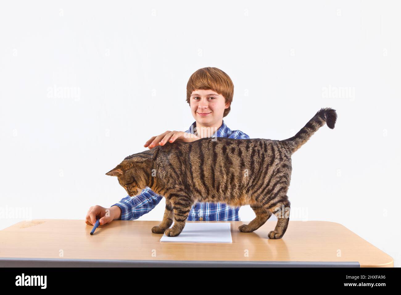 smart boy learning for school has a break and plays with his cat Stock ...