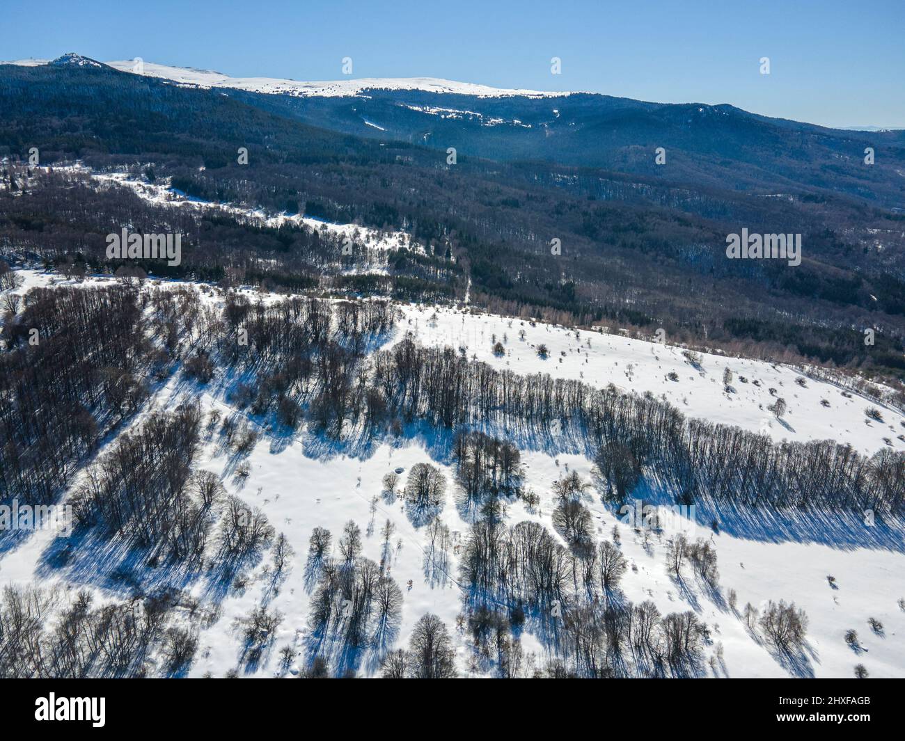 Aerial Winter view of Vitosha Mountain at Kopitoto area, Sofia City ...