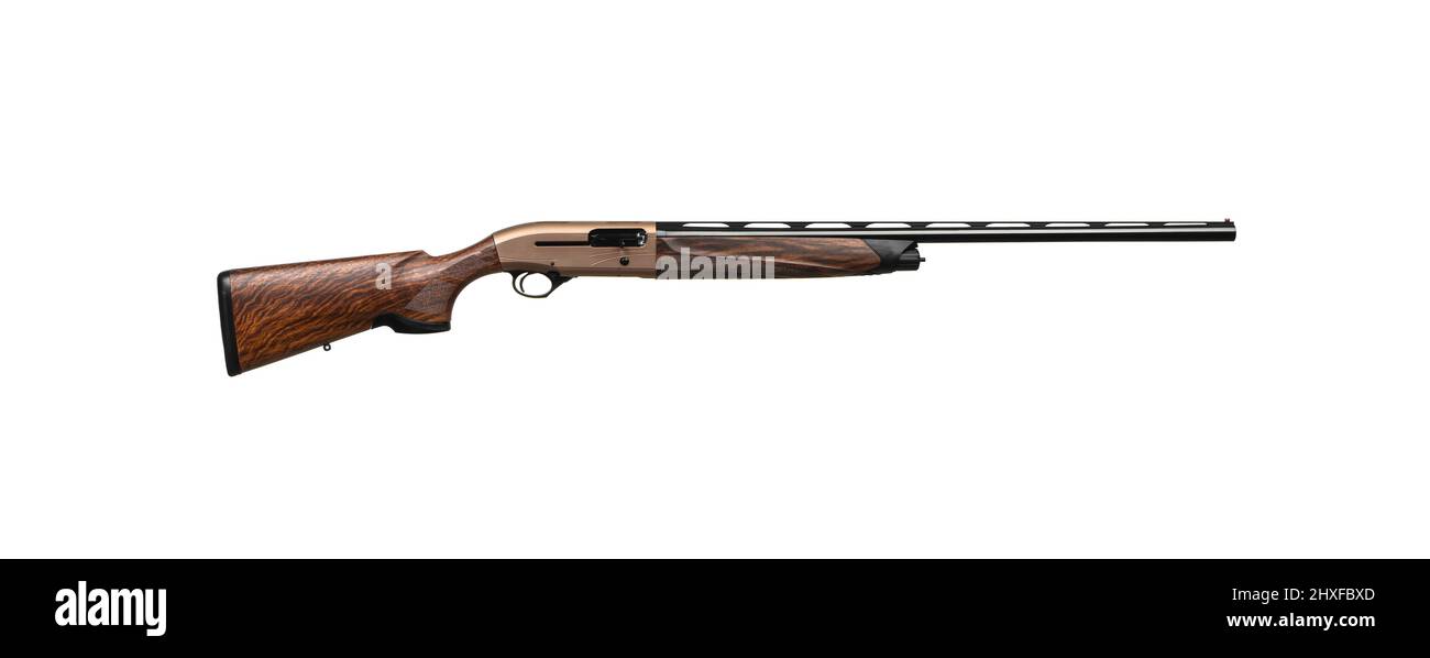 A modern semi-automatic shotgun with a wooden stock. Guns in bronze ...