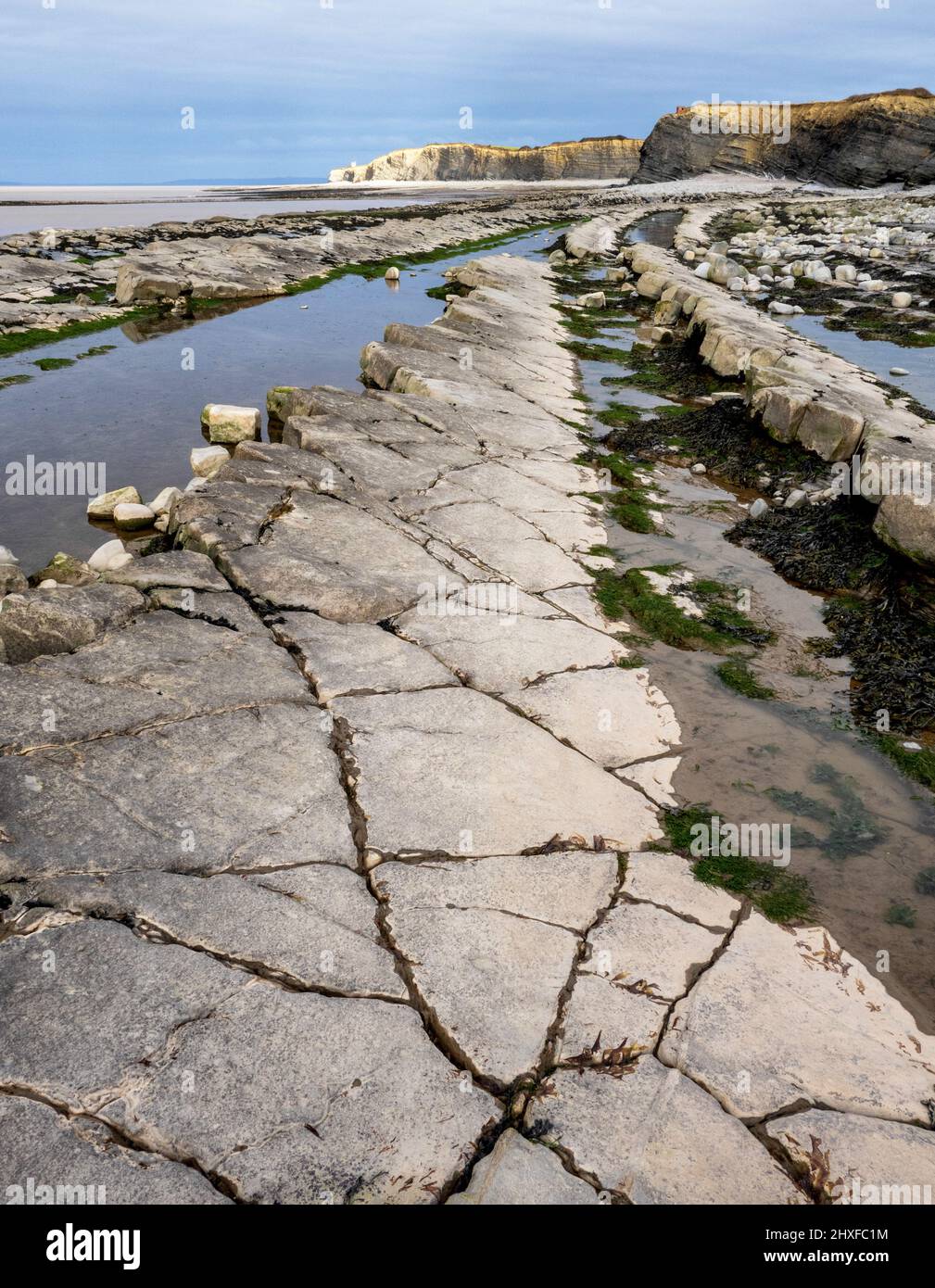 Somerset Jurassic coast at Kilve beach looking towards Lilstock at low ...