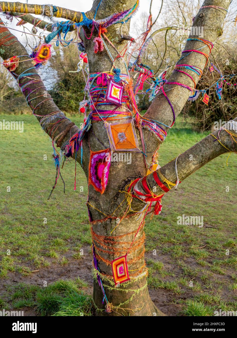 Wishes hanging in tree hi-res stock photography and images - Alamy