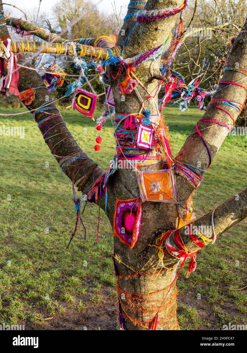 Wish tree hi-res stock photography and images - Alamy