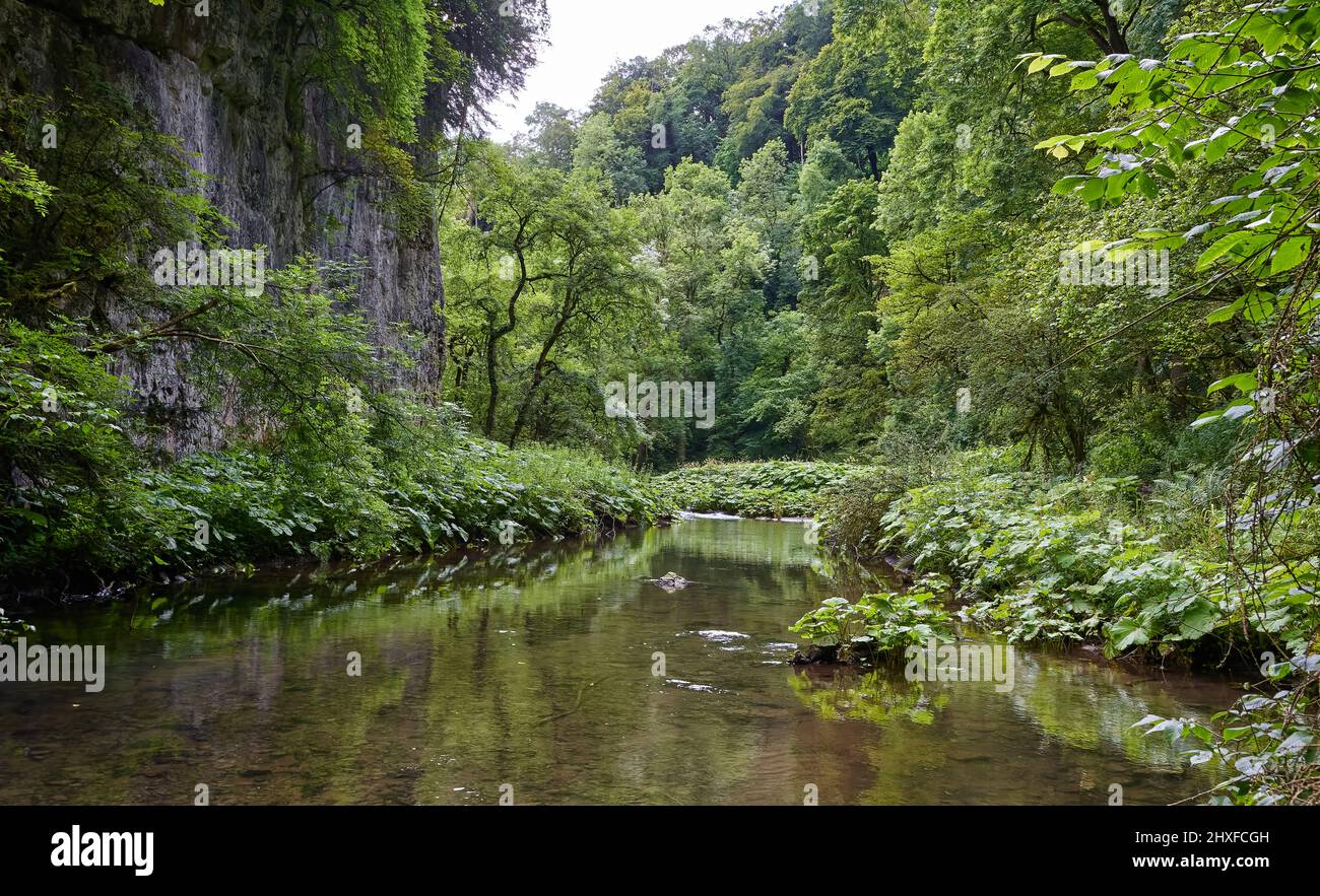 Summer on the River Wye at Chee Dale in the Derbyshire Peak District as ...