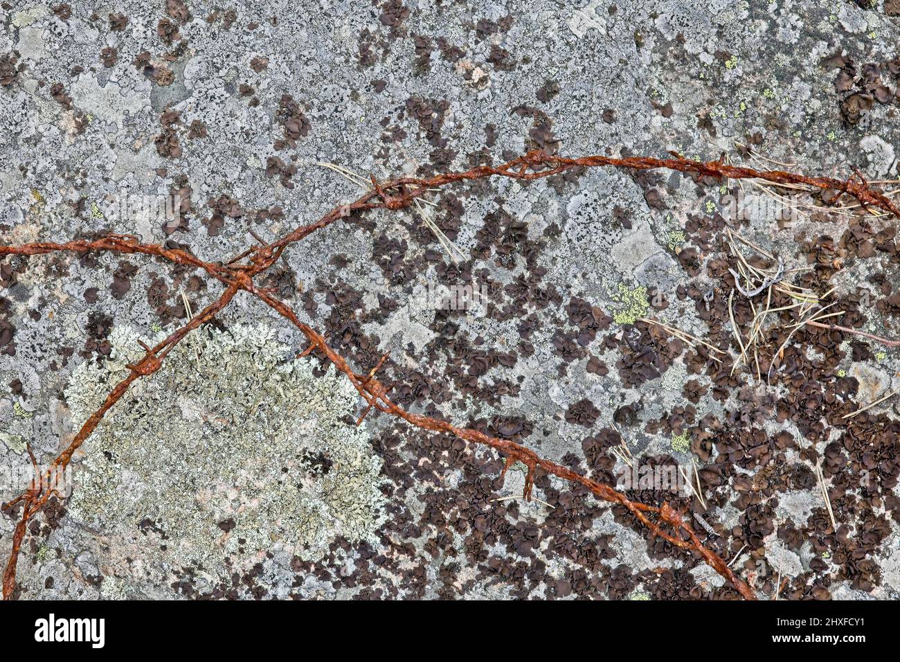 Rusty barbed wire on rock Stock Photo - Alamy