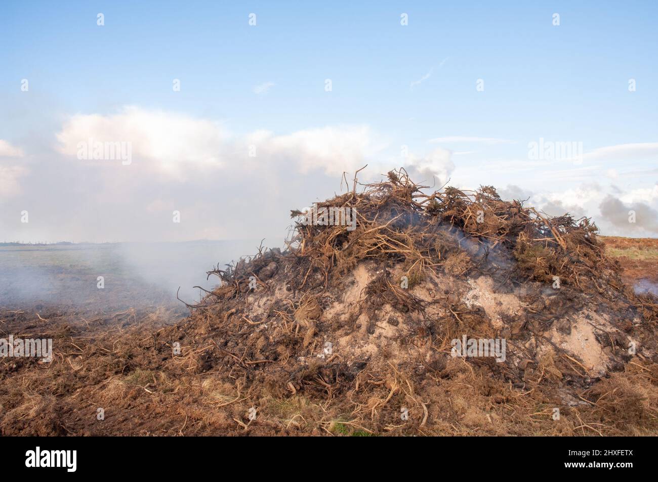 Clearance and burning of coastal vegetation at Dale Airfield Stock ...