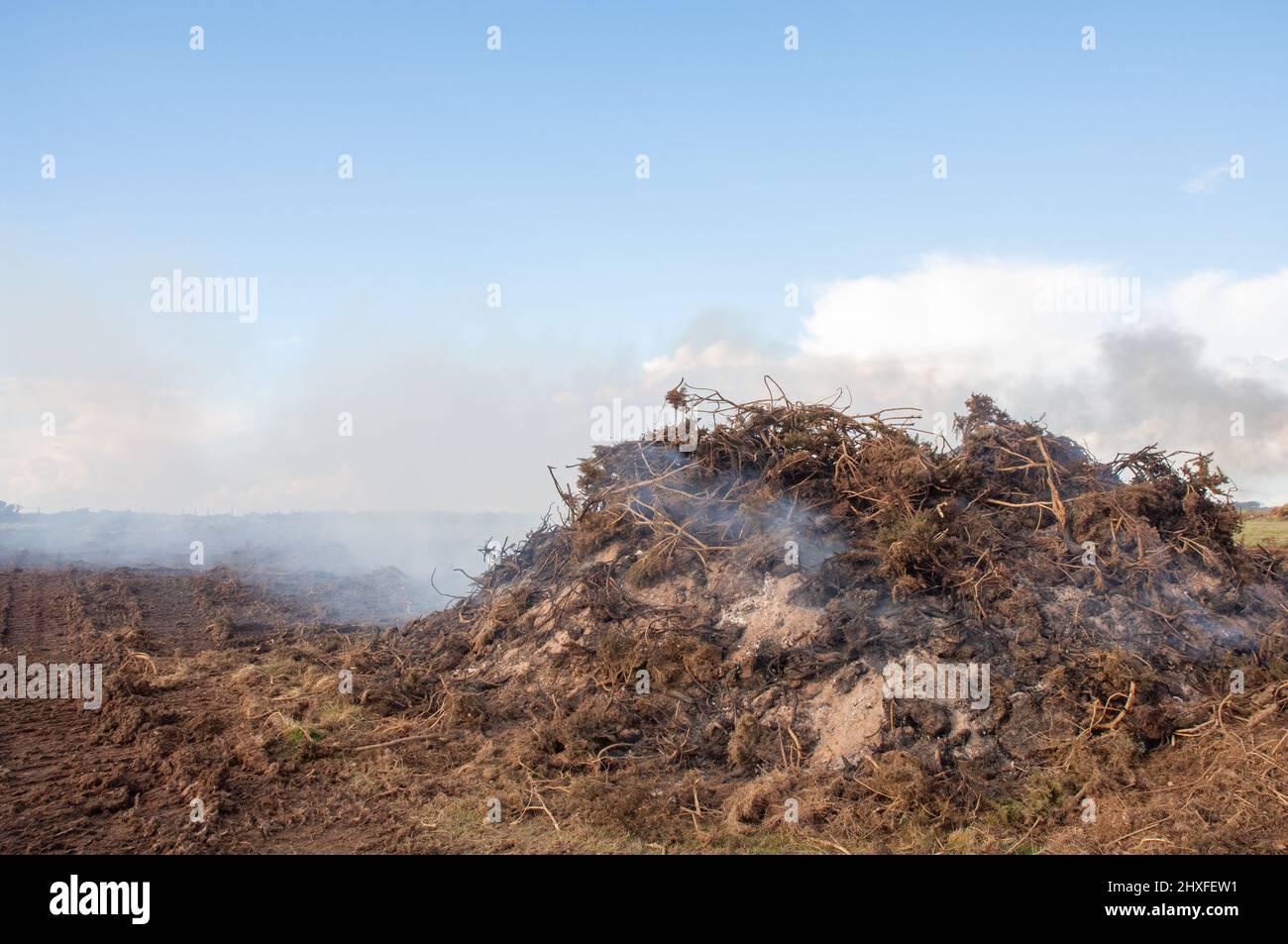 Clearance and burning of coastal vegetation at Dale Airfield Stock ...