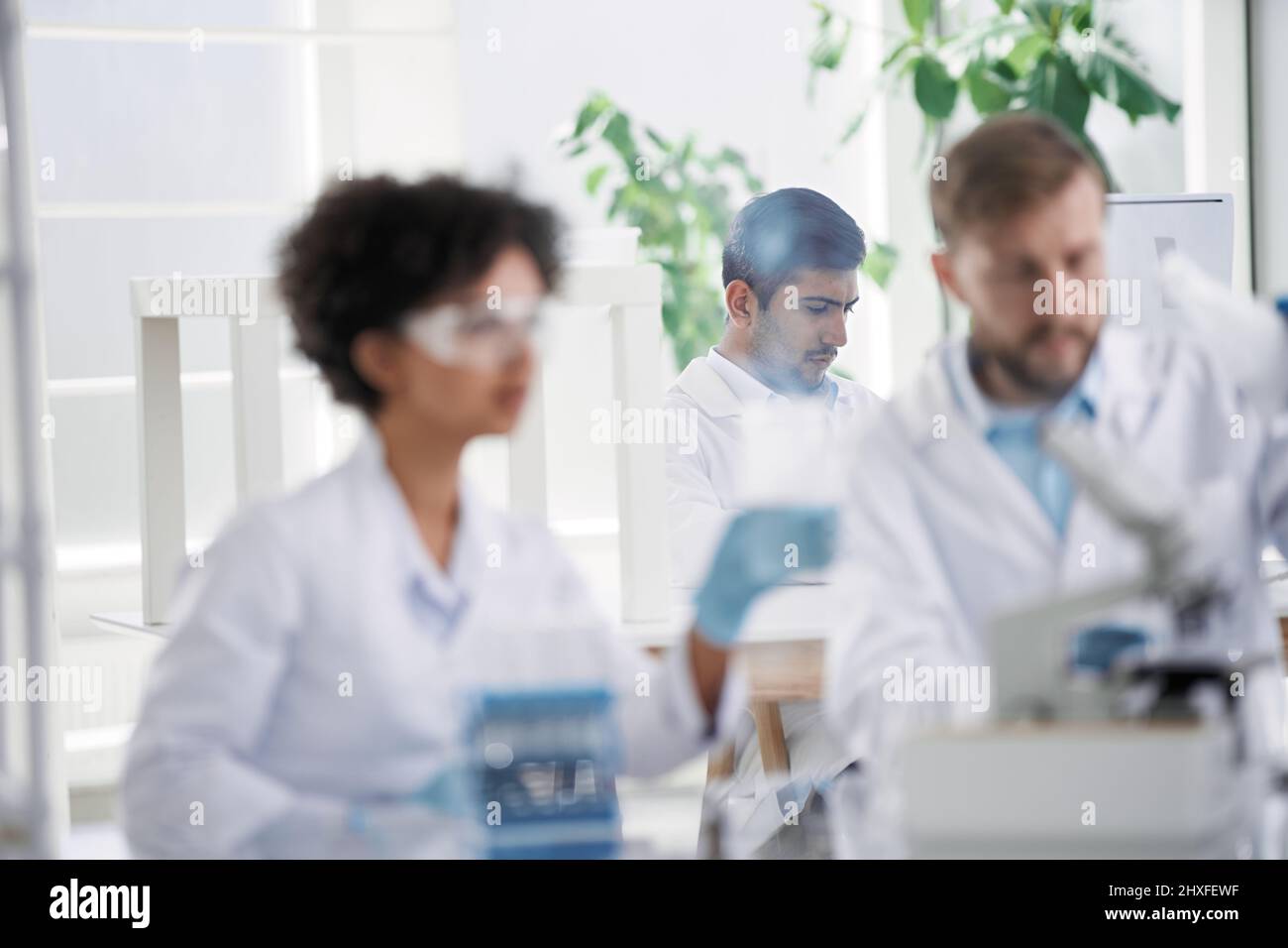 Man woman scientists analyzing samples hi-res stock photography and ...