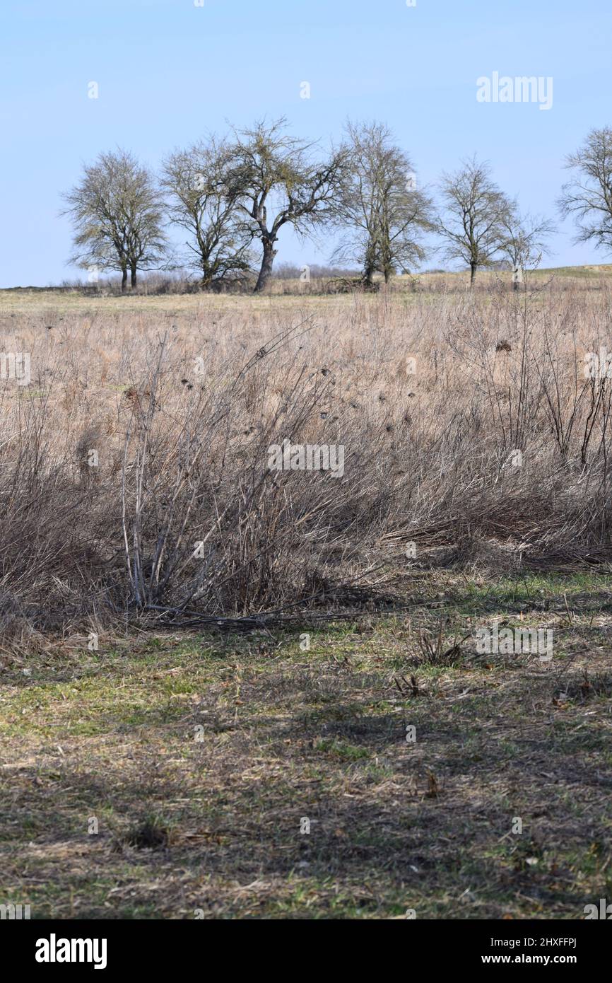 Dry area hi-res stock photography and images - Alamy