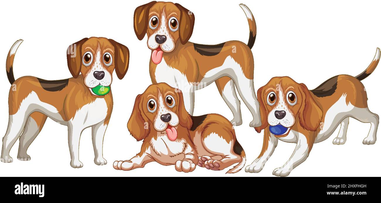 Group of beagle dogs on white background illustration Stock Vector ...