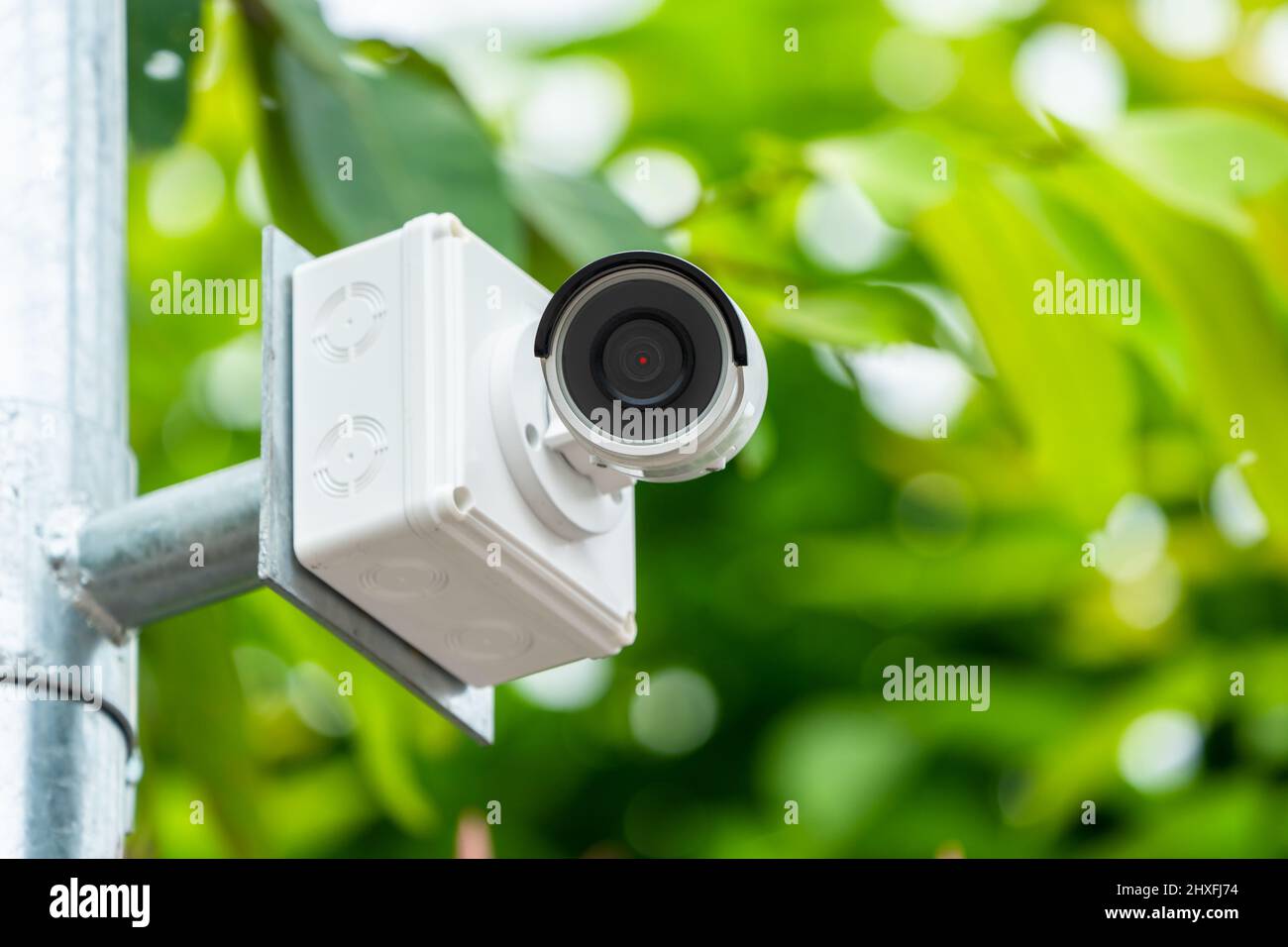 CCTV camera is installed in the garden with blur green tree background ...