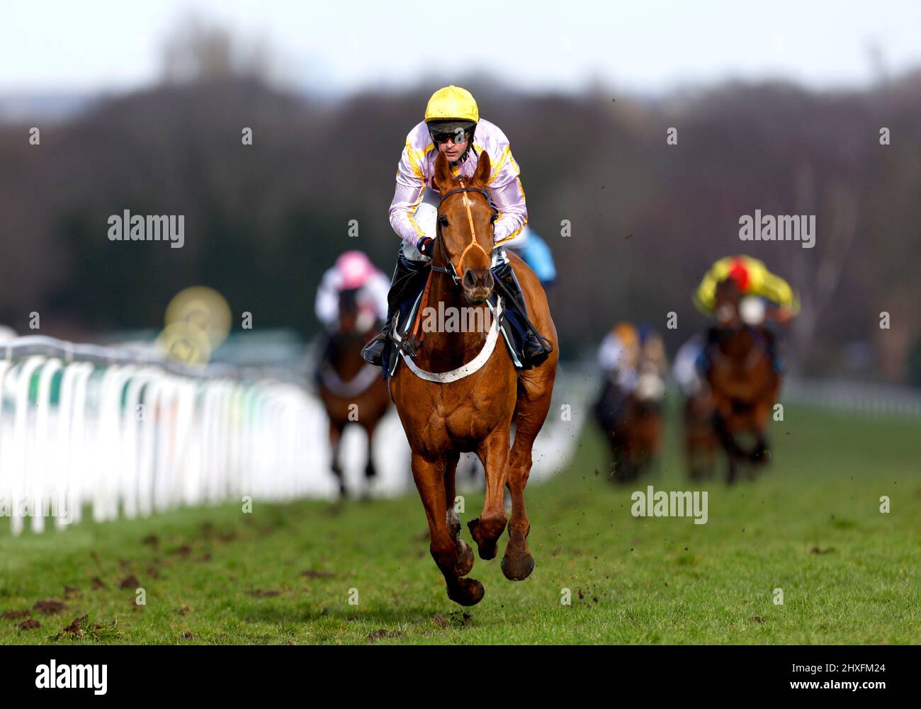 Winning british stallion studs ebf mares hi-res stock photography and ...