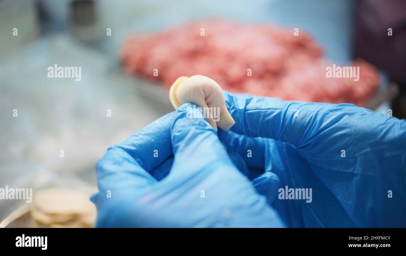 Pelmeni making process factory handmade hi-res stock photography and ...