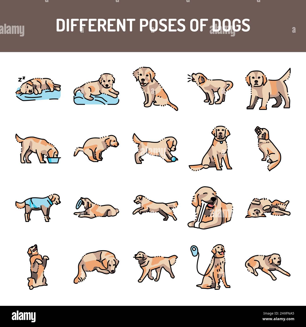 Different poses of dogs line icons set. Isolated vector element ...