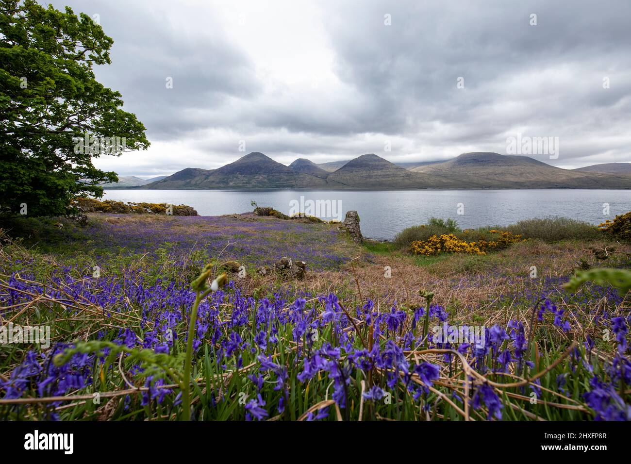 Aerial scotland mull people hi-res stock photography and images - Alamy