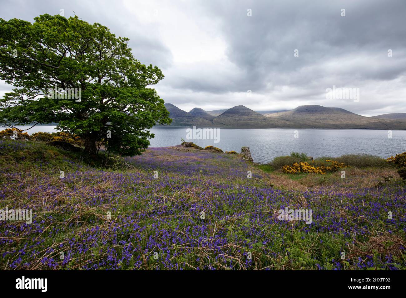 Isle of mull aerial view hi-res stock photography and images - Alamy