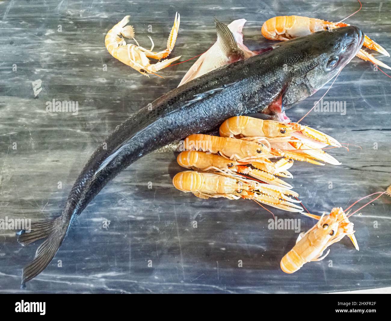 macro close up of an atlantic prawn Stock Photo - Alamy