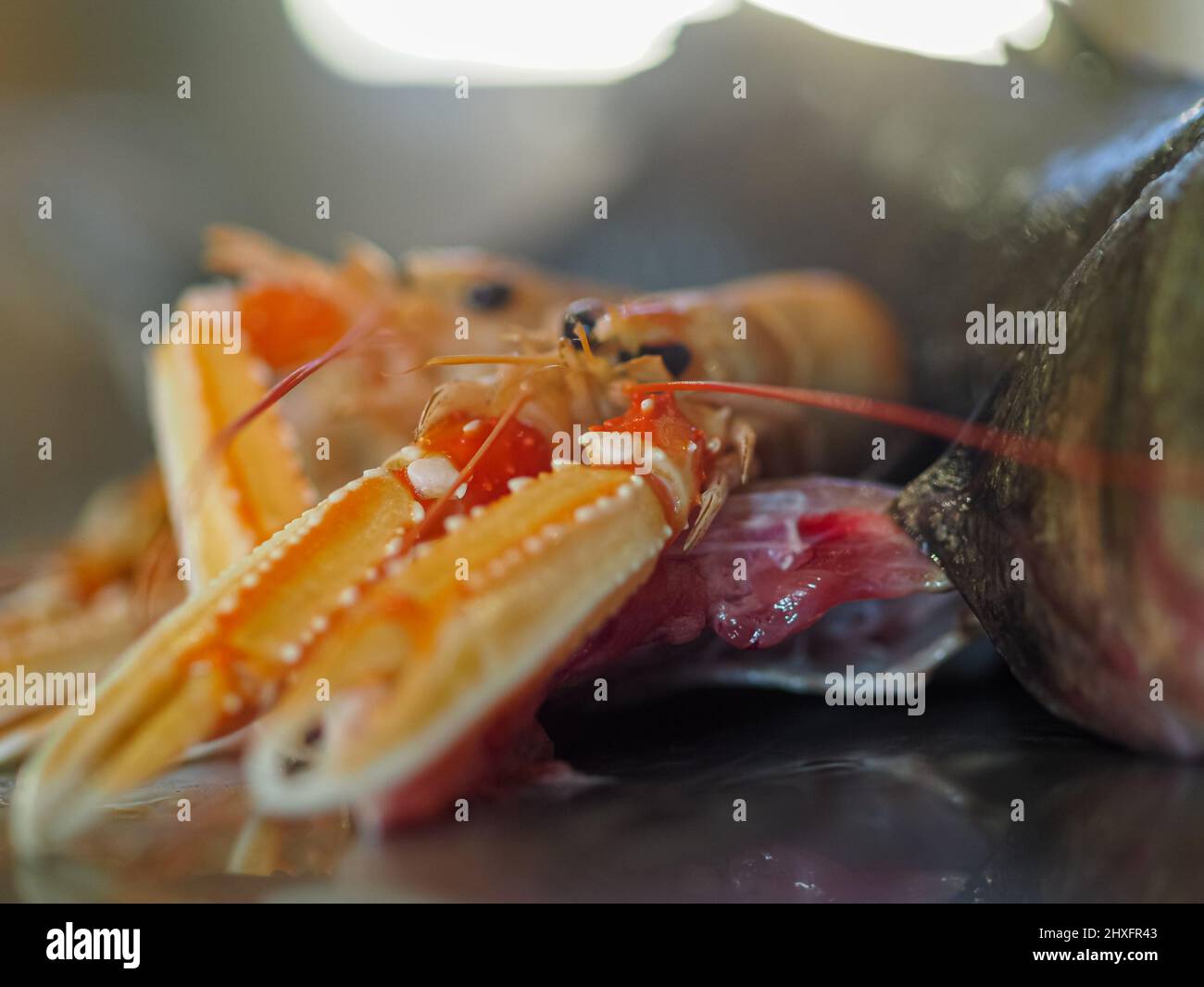 macro close up of an atlantic prawn Stock Photo - Alamy