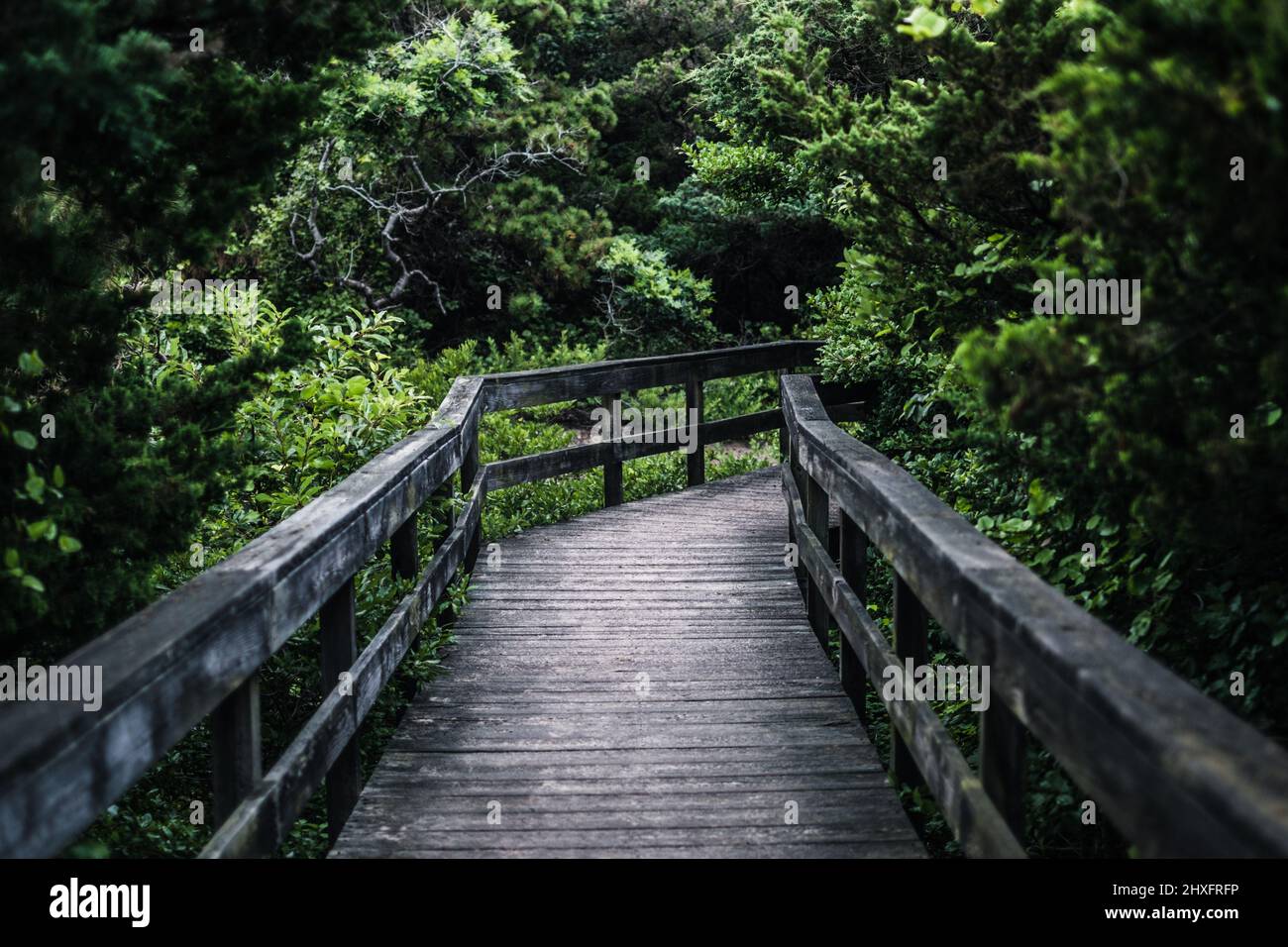 Beautiful Spooky High Resolution Stock Photography and Images - Alamy