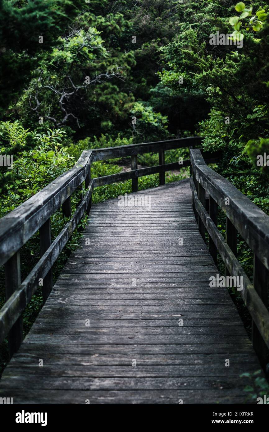 Gothic horror view hi-res stock photography and images - Alamy