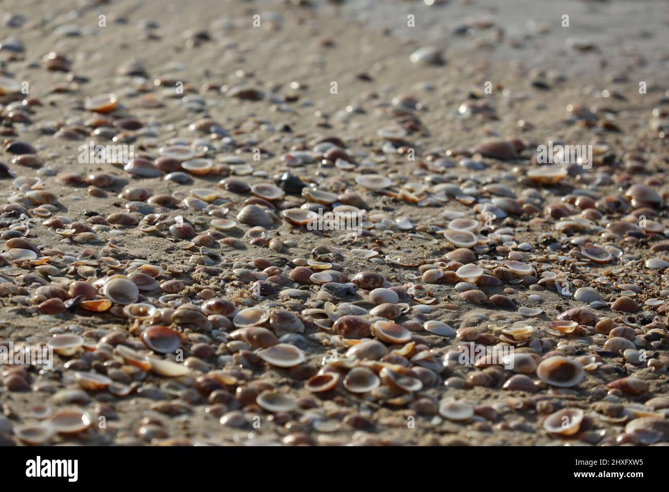 Strewn gravel hi-res stock photography and images - Alamy