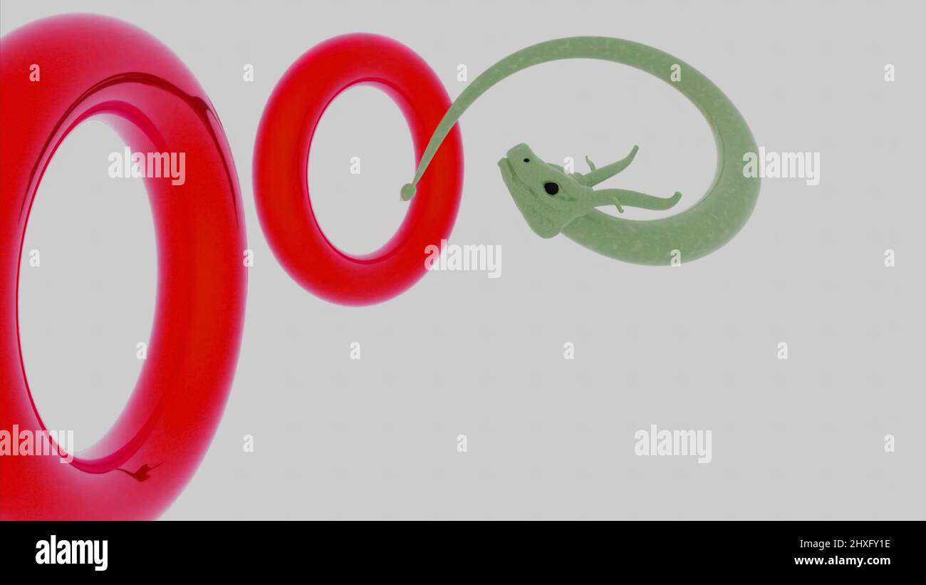 Magical fairytale asian dragon flying through rings isolated on a white ...