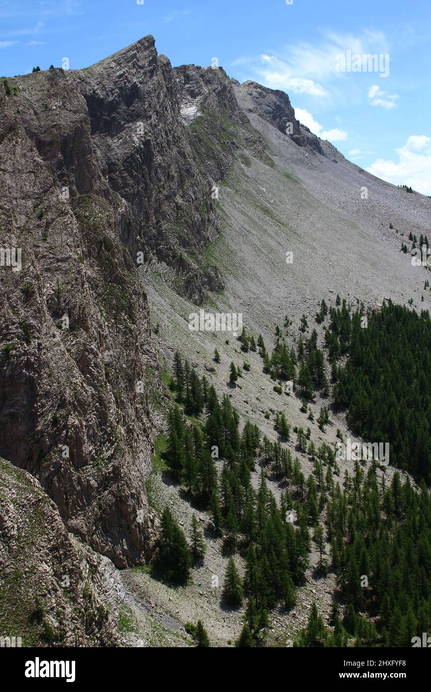 Cliffs and fir trees in the Mercantour National Park on a July ...
