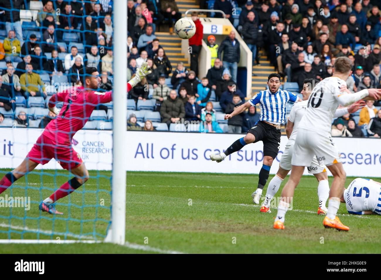 Massimo Luongo #21 of Sheffield Wednesday attempts a shot on goal Stock ...