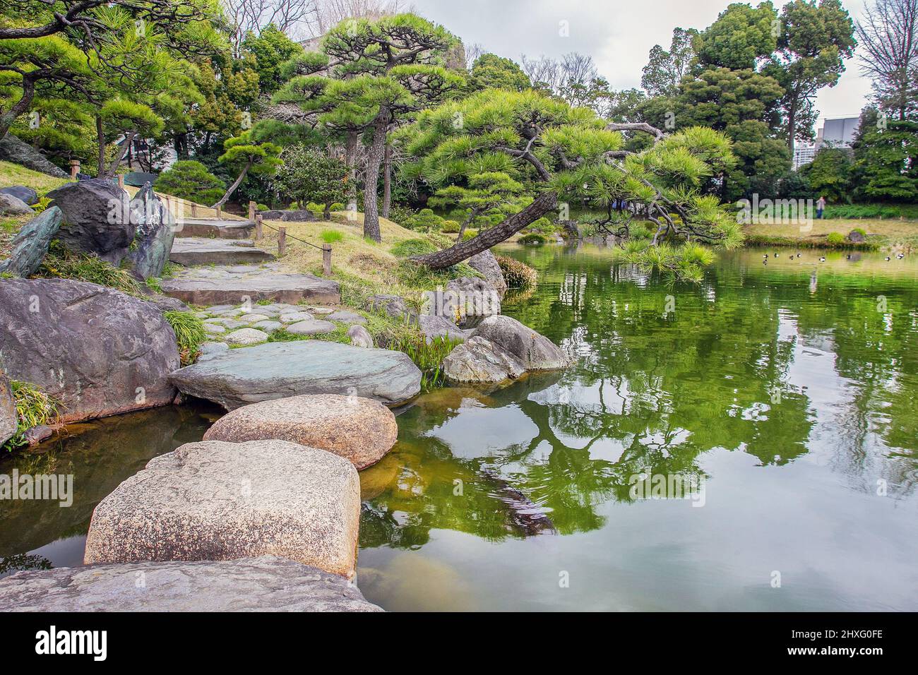 Niwaki hi-res stock photography and images - Alamy