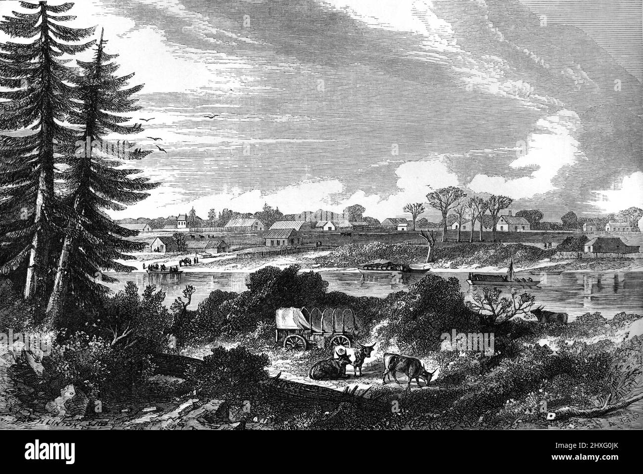 Early View or Historic View of Victoria, British Columbia, Vancouver ...