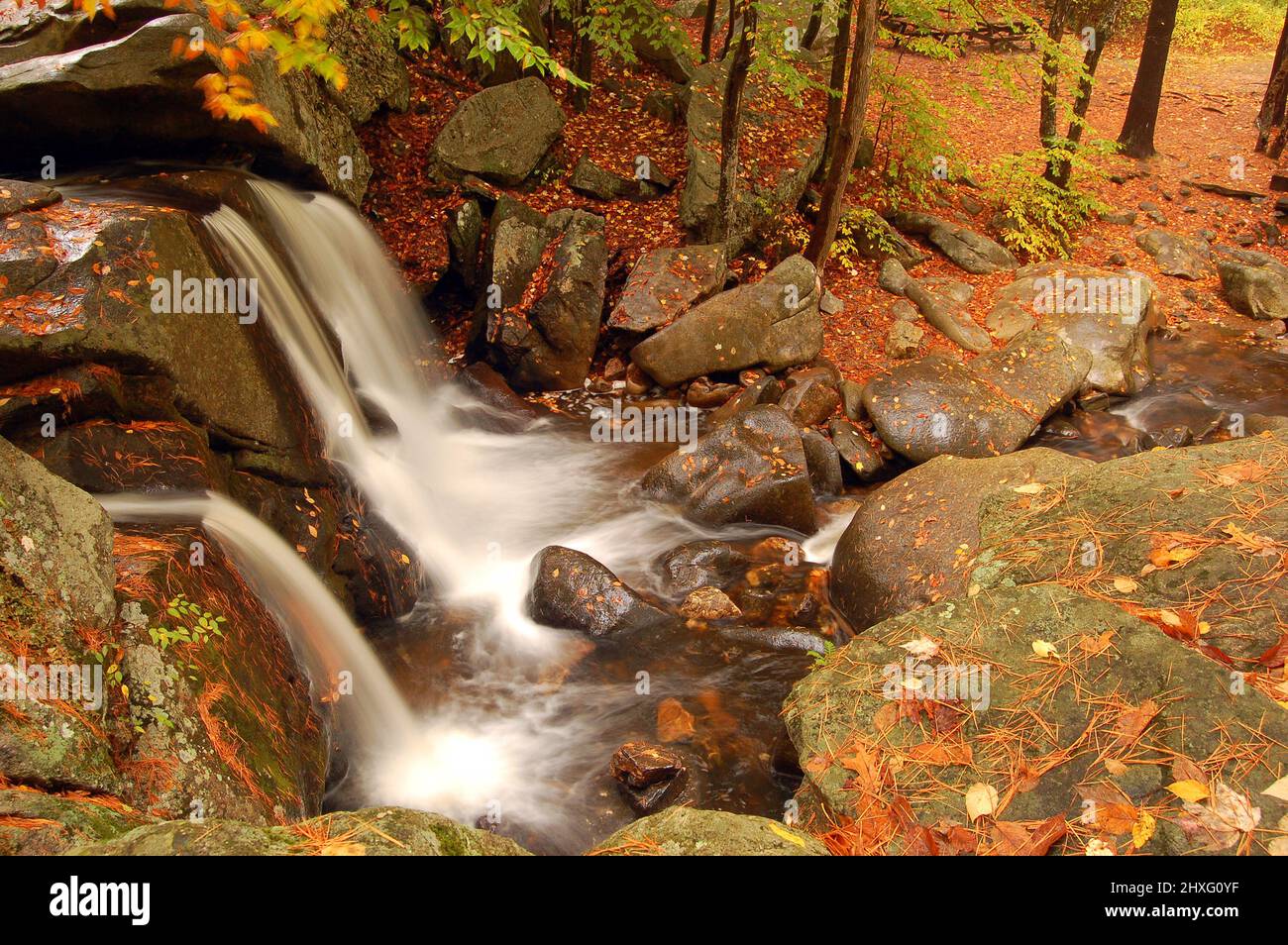 A waterfall is surrounded by autumn foliage Stock Photo - Alamy