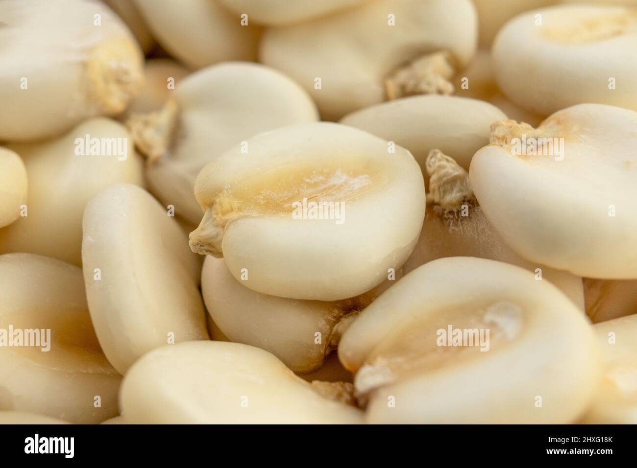 Mexican giant white corn hi-res stock photography and images - Alamy
