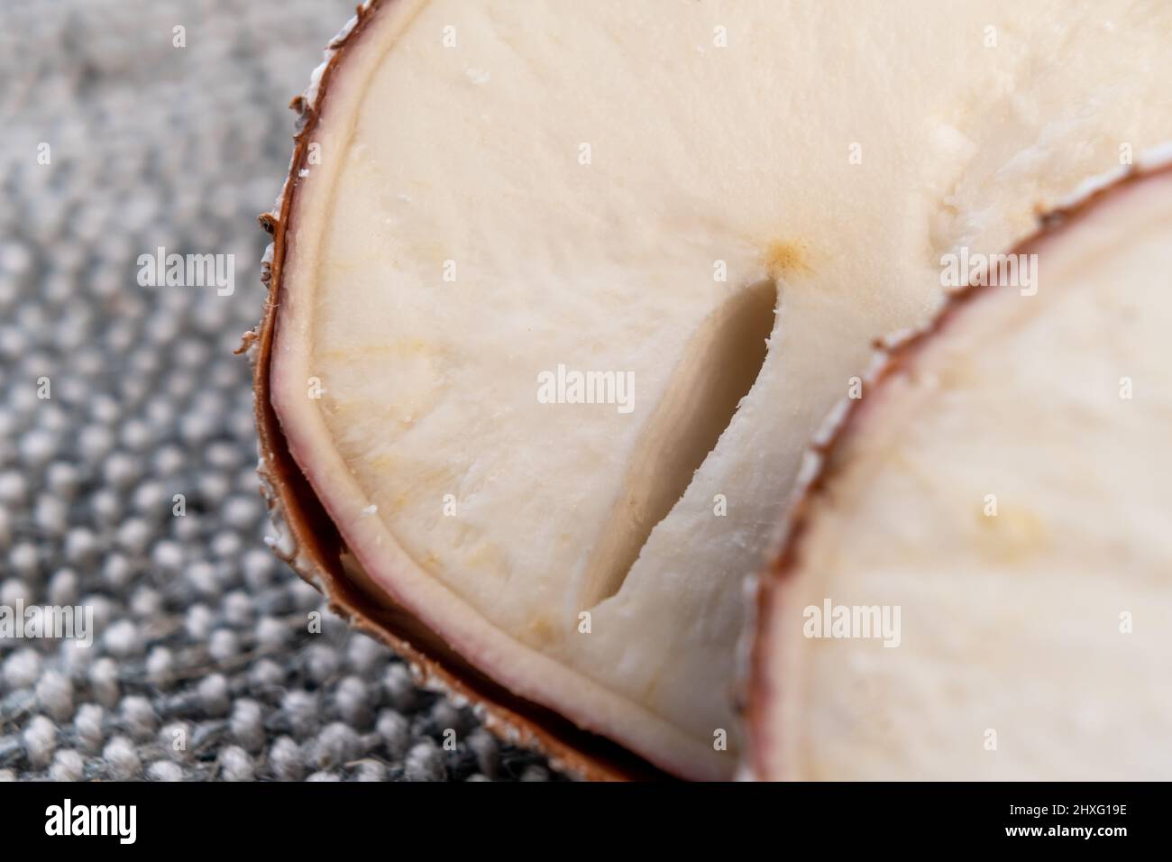 Cassava yucca root with crack close up on rustic rough jute. Macro ...