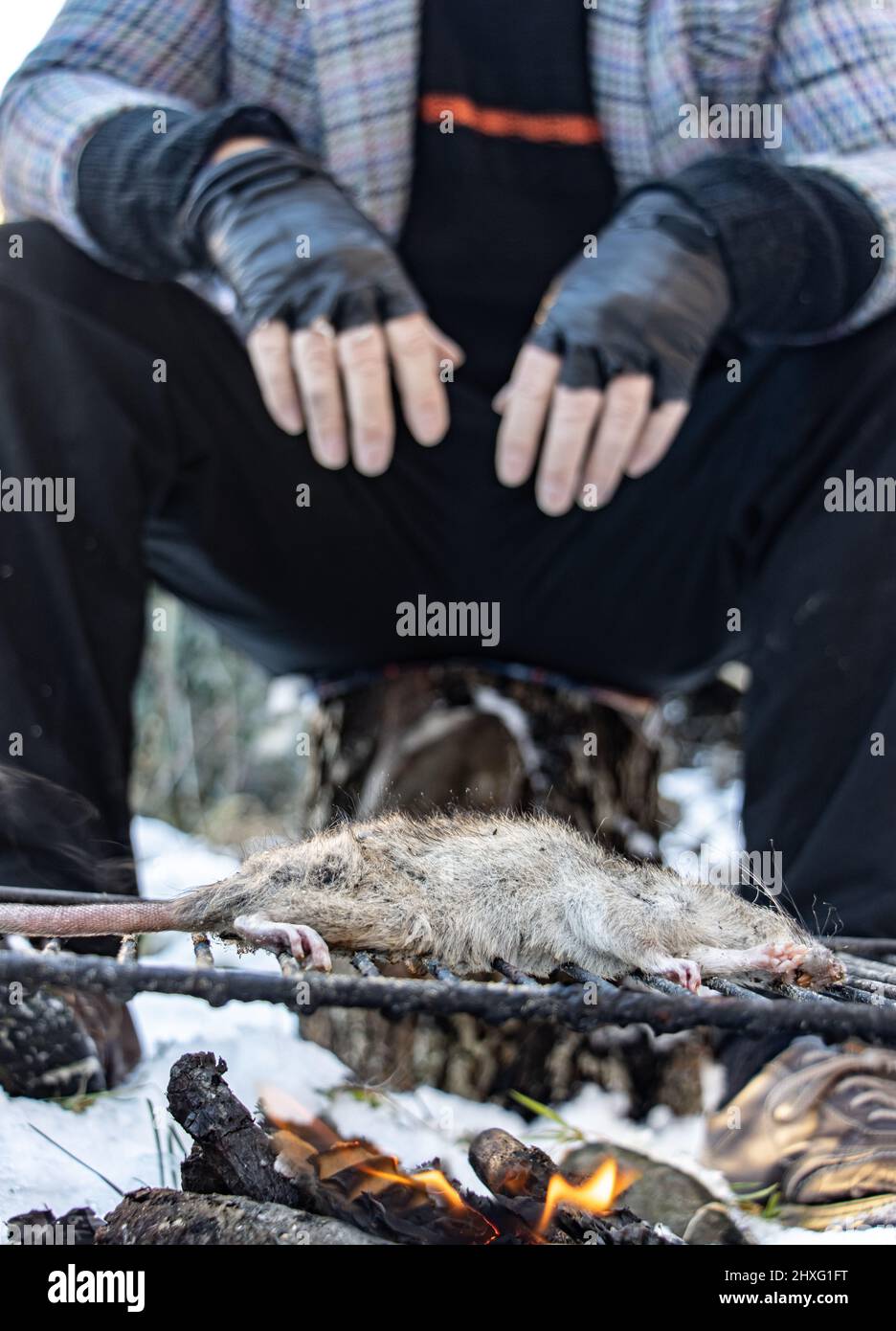 The homeless man grills a rat, in a snowy landscape, close up view ...