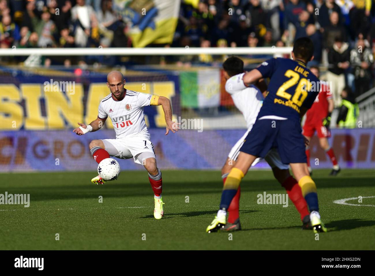 Luca parodi hi-res stock photography and images - Alamy