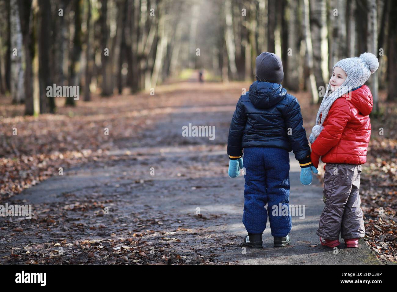 Children walk in the autumn park in the fall Stock Photo - Alamy